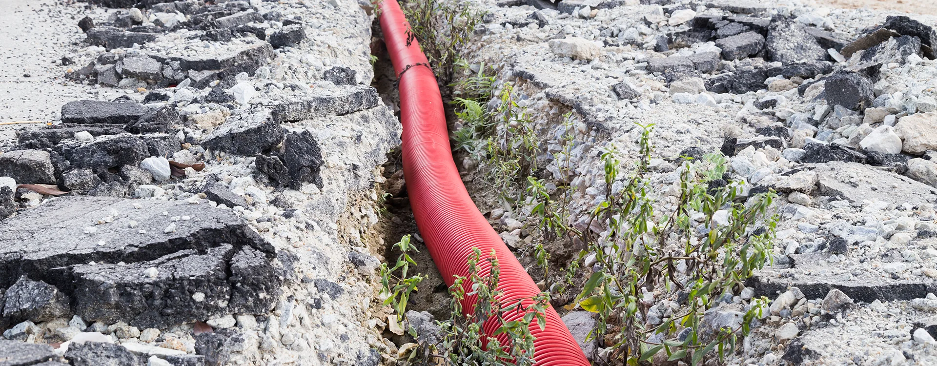 Sewer Tree Roots Damage Solutions Oshawa, Ontario - Hydro Jetting ...